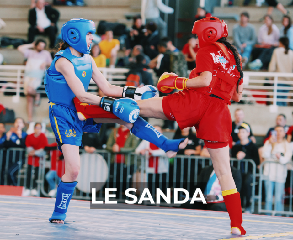 Wushu Sanda : le sanda et ses origines - Team LB Kung-Fu